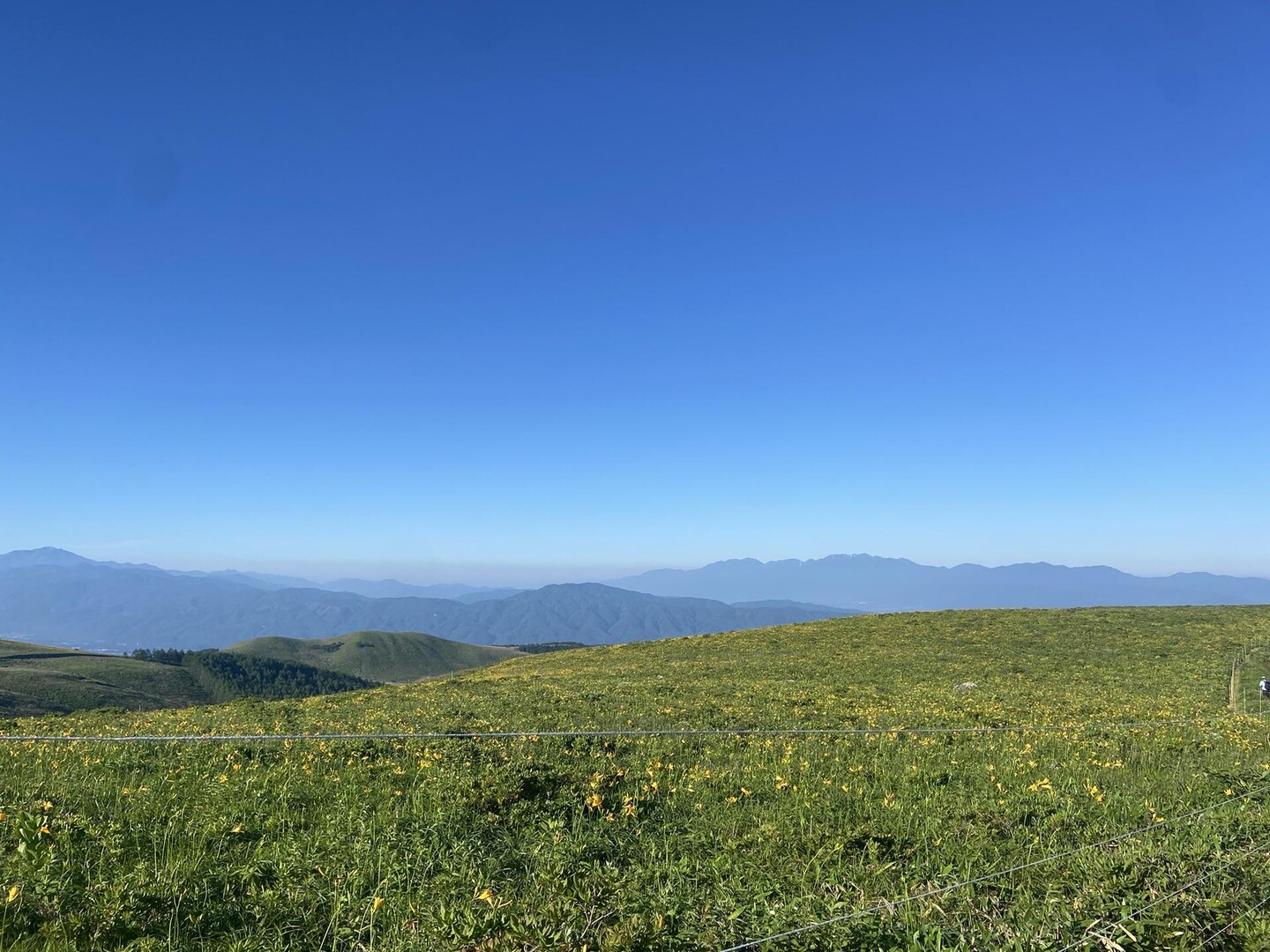 蝶々深山・霧ヶ峰（車山） / Annさんの霧ヶ峰・車山・大笹峰の活動データ | YAMAP / ヤマップ