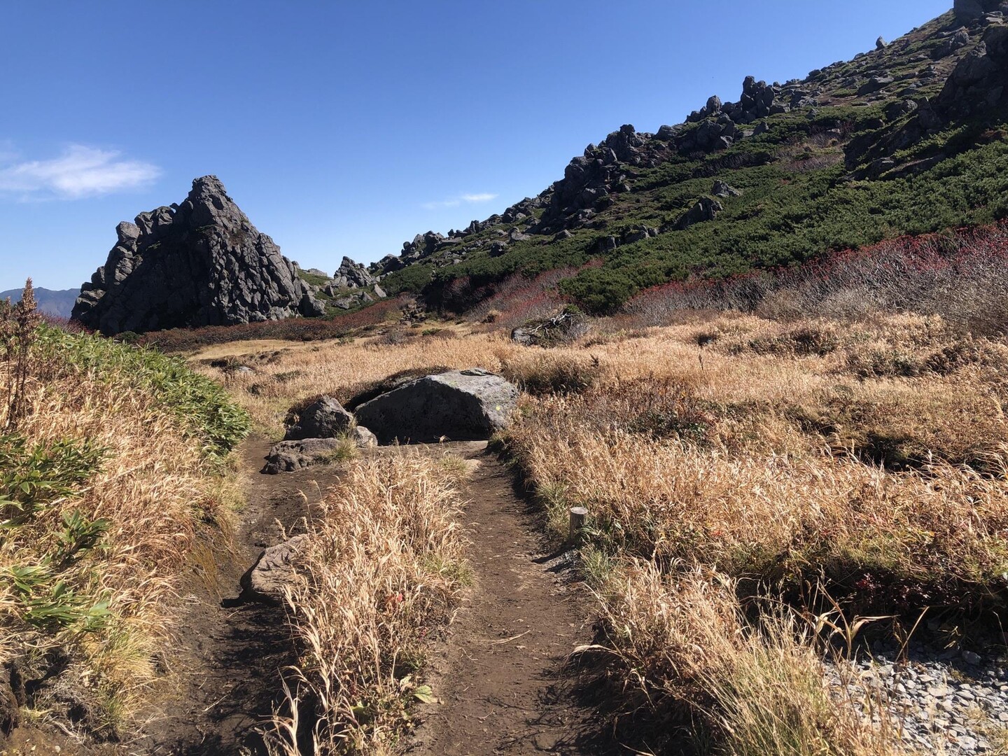 トムラウシ公園は本当の公園だった☀️ / 道産子さんのGT3 2の活動データ | YAMAP / ヤマップ