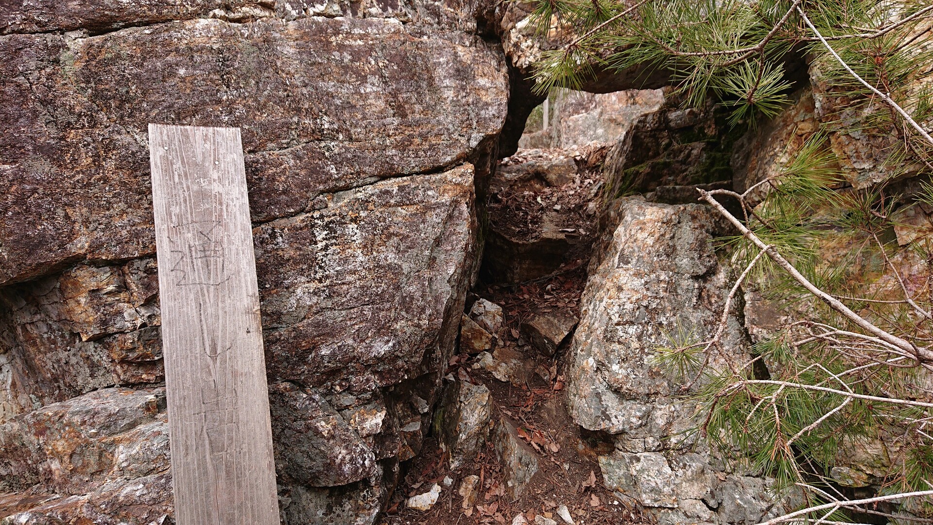 納古山さんぽ / hiyoko🐥さんの納古山の活動データ | YAMAP / ヤマップ