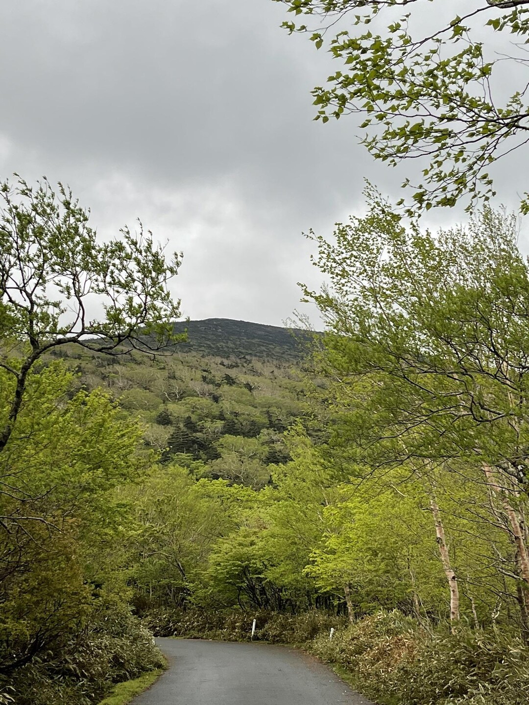 薬師岳 / KB会登山部No.1さんの早池峰山・薬師岳・鶏頭山の活動データ | YAMAP / ヤマップ