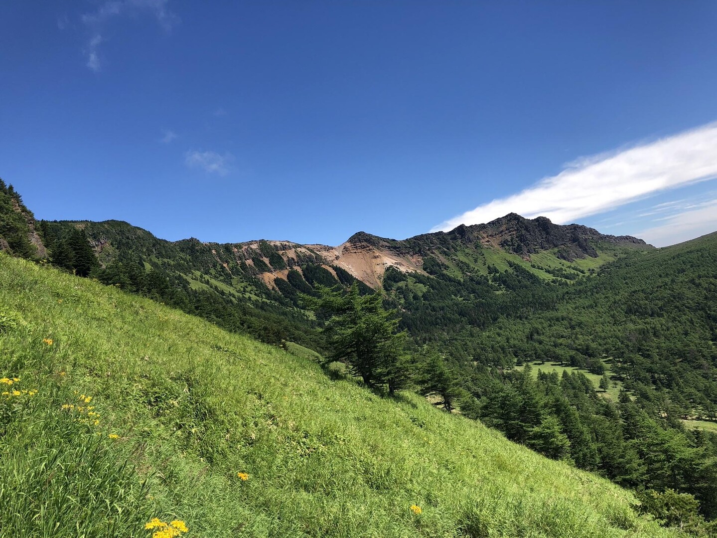 浅間山外輪山をぐるっとめぐる / kojiさんの浅間山・黒斑山・篭ノ登山の活動日記 | YAMAP / ヤマップ