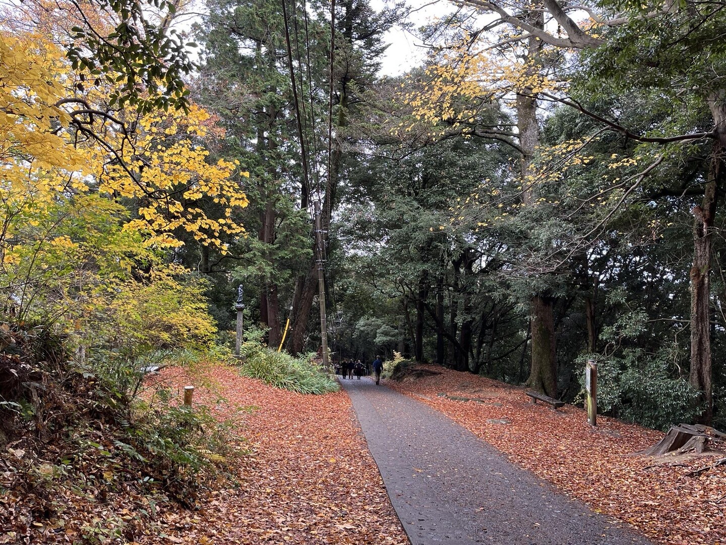 いこさんの投稿したフィールドメモ | YAMAP / ヤマップ