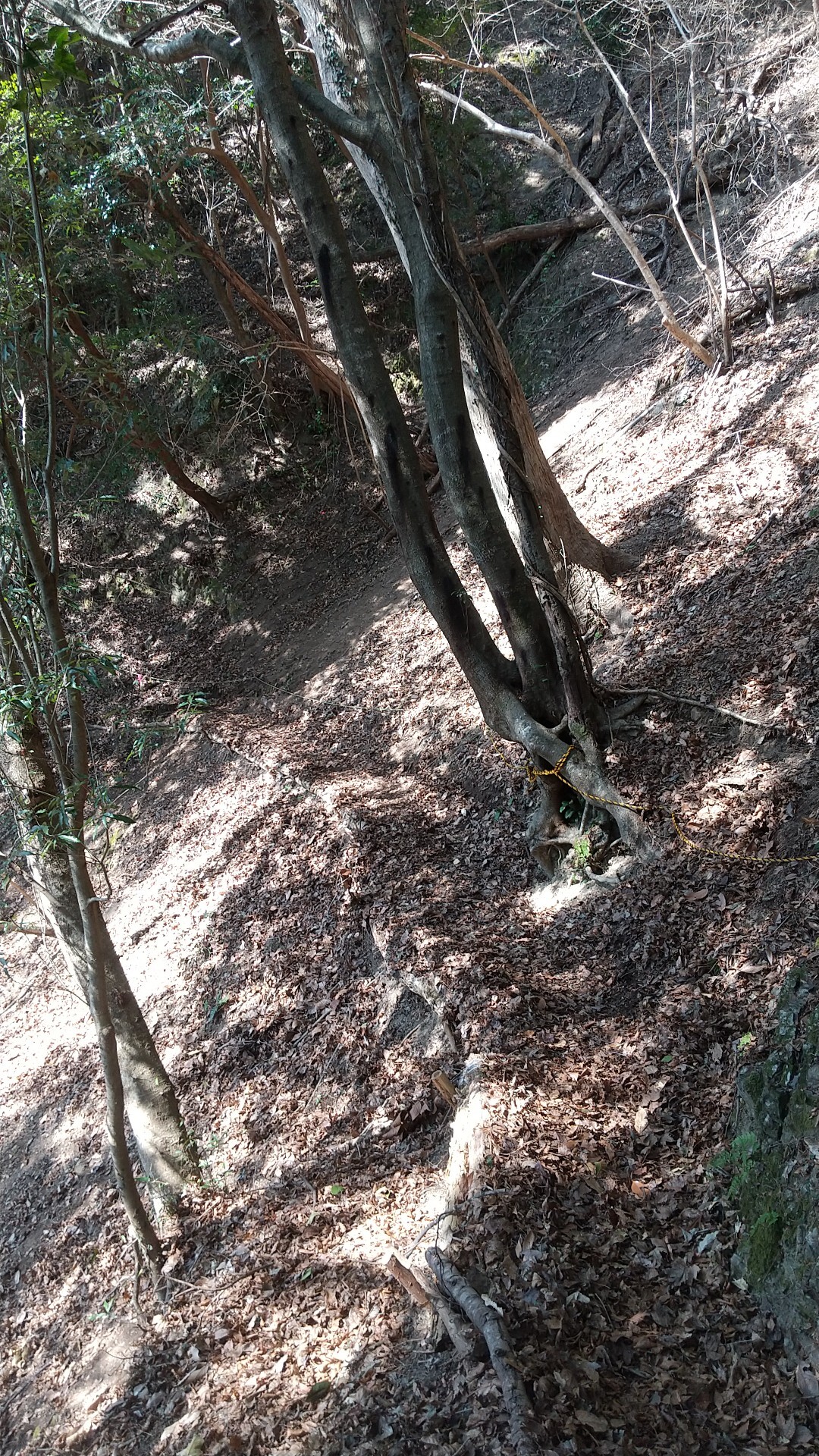 k54さんの投稿したフィールドメモ | YAMAP / ヤマップ