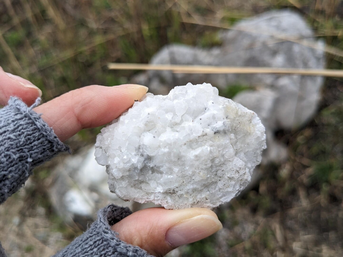 大かんの台・風神山・不動山・堂金山・三笠台 / hitomiさんの平尾台・貫山・水晶山の活動日記 | YAMAP / ヤマップ