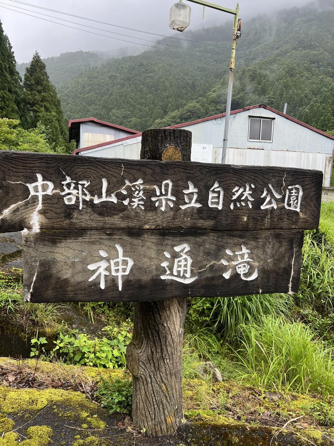 7/20(木) 霧雨降るなか、神通滝へ。... / ariさんのモーメント | YAMAP / ヤマップ