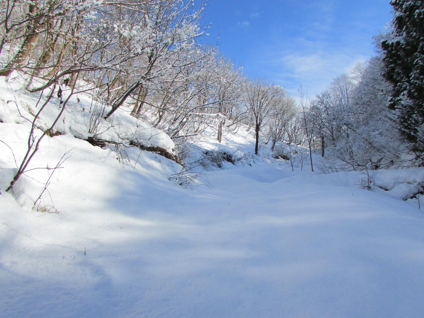 山寺山に御年始 / ta-さんの朝日山の活動データ | YAMAP / ヤマップ