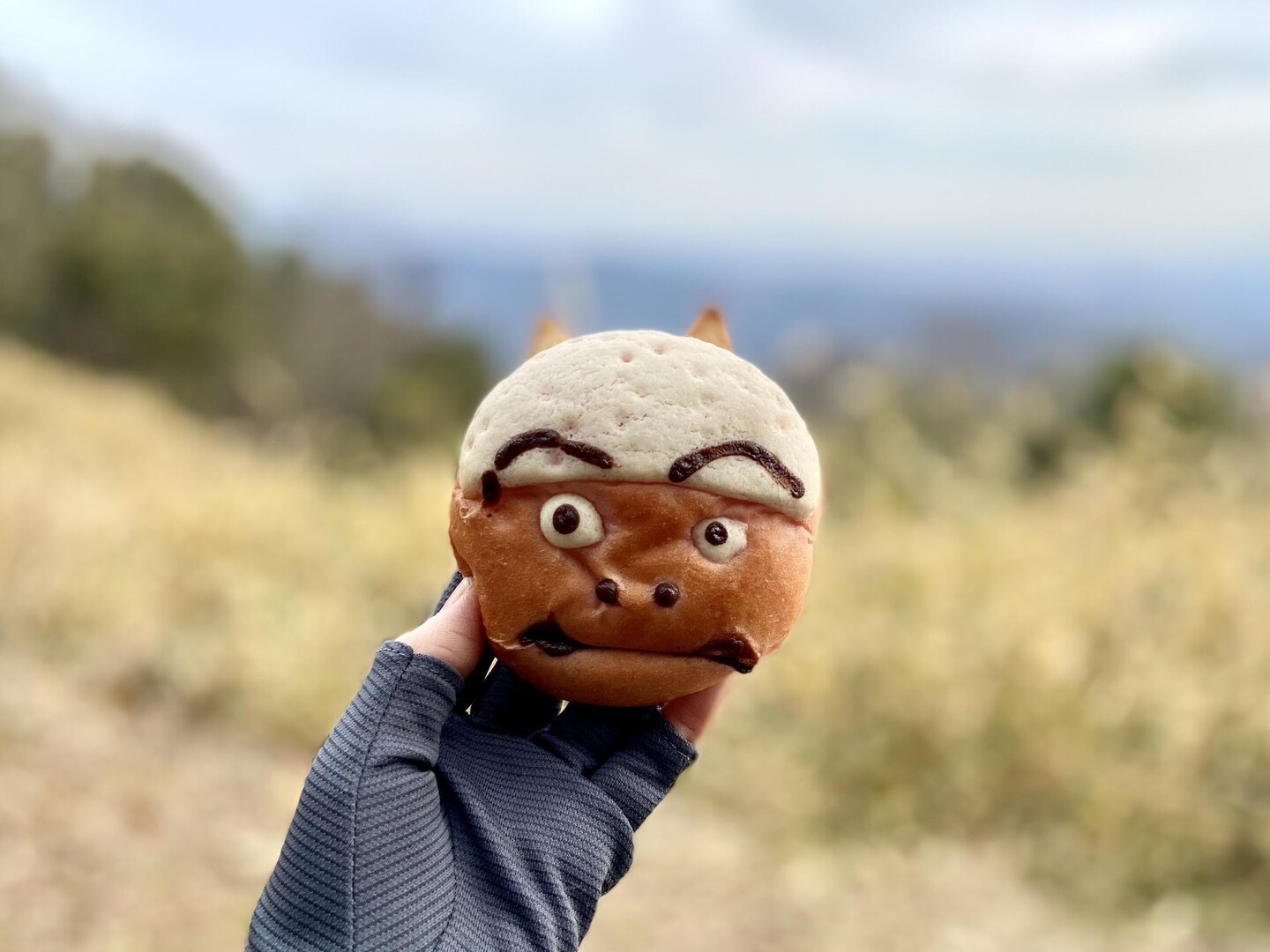 福山3（エスポワール） / me youさんの福山・江田山・高鳥居山の活動データ | YAMAP / ヤマップ