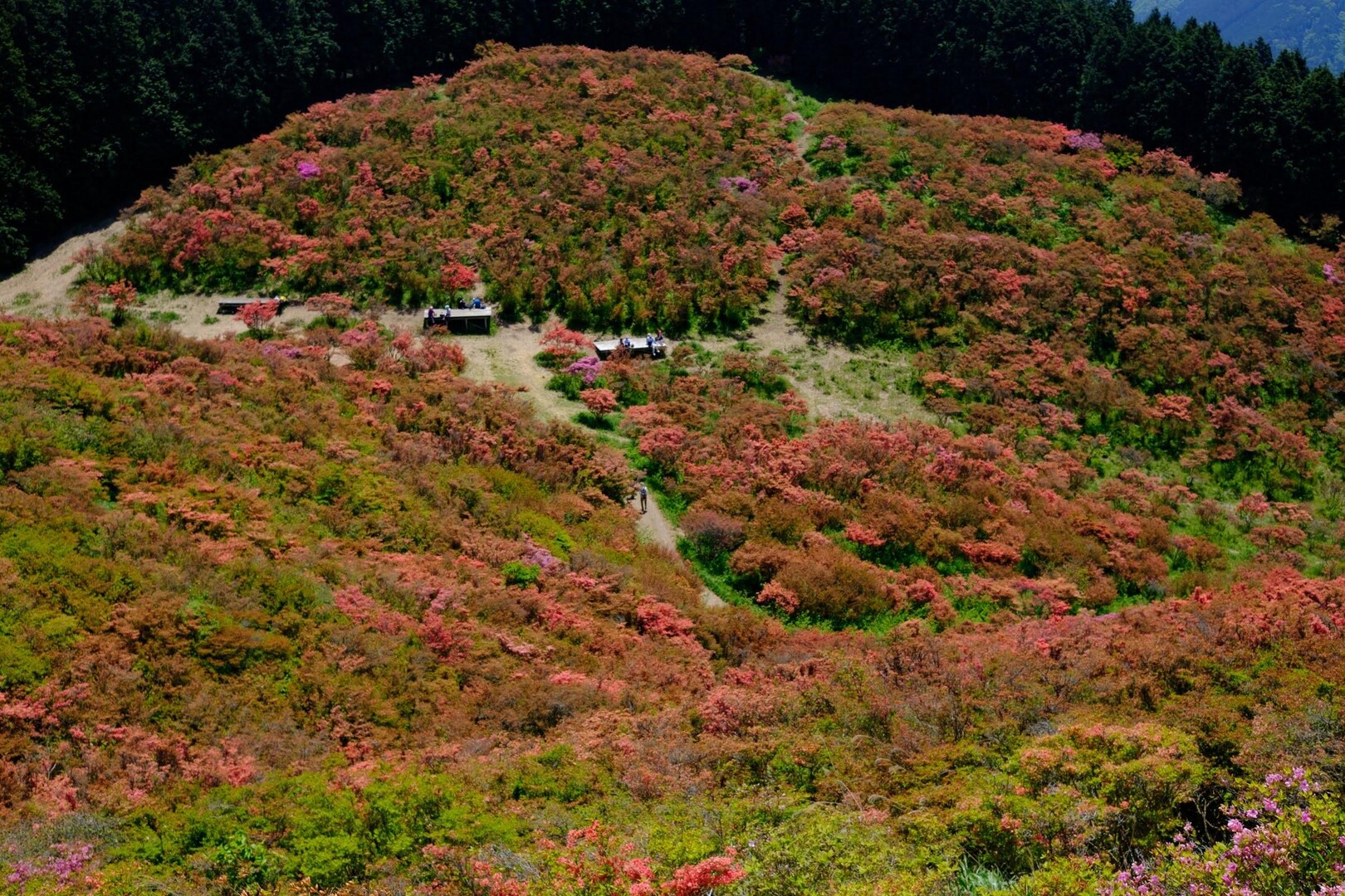 大和葛城山 / hkhg_yさんの金剛山・二上山・大和葛城山の活動データ | YAMAP / ヤマップ