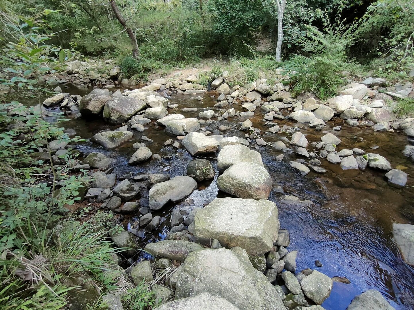布引の滝〜トゥエンティクロス〜石楠花山 / komaJさんの六甲山・長峰山・摩耶山の活動データ | YAMAP / ヤマップ