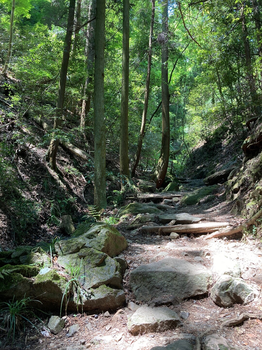 二上山(雌岳)・二上山（雄岳） / Annさんの金剛山・二上山・大和葛城山の活動データ | YAMAP / ヤマップ