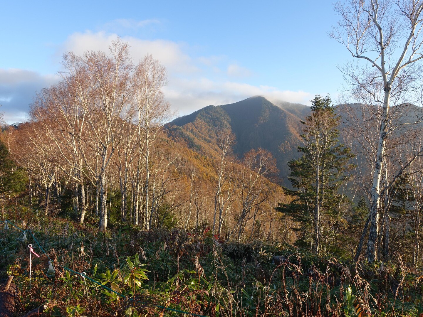経ヶ岳⛰️/日本二百名山 / N7さんの経ヶ岳・坊主岳の活動データ | YAMAP / ヤマップ