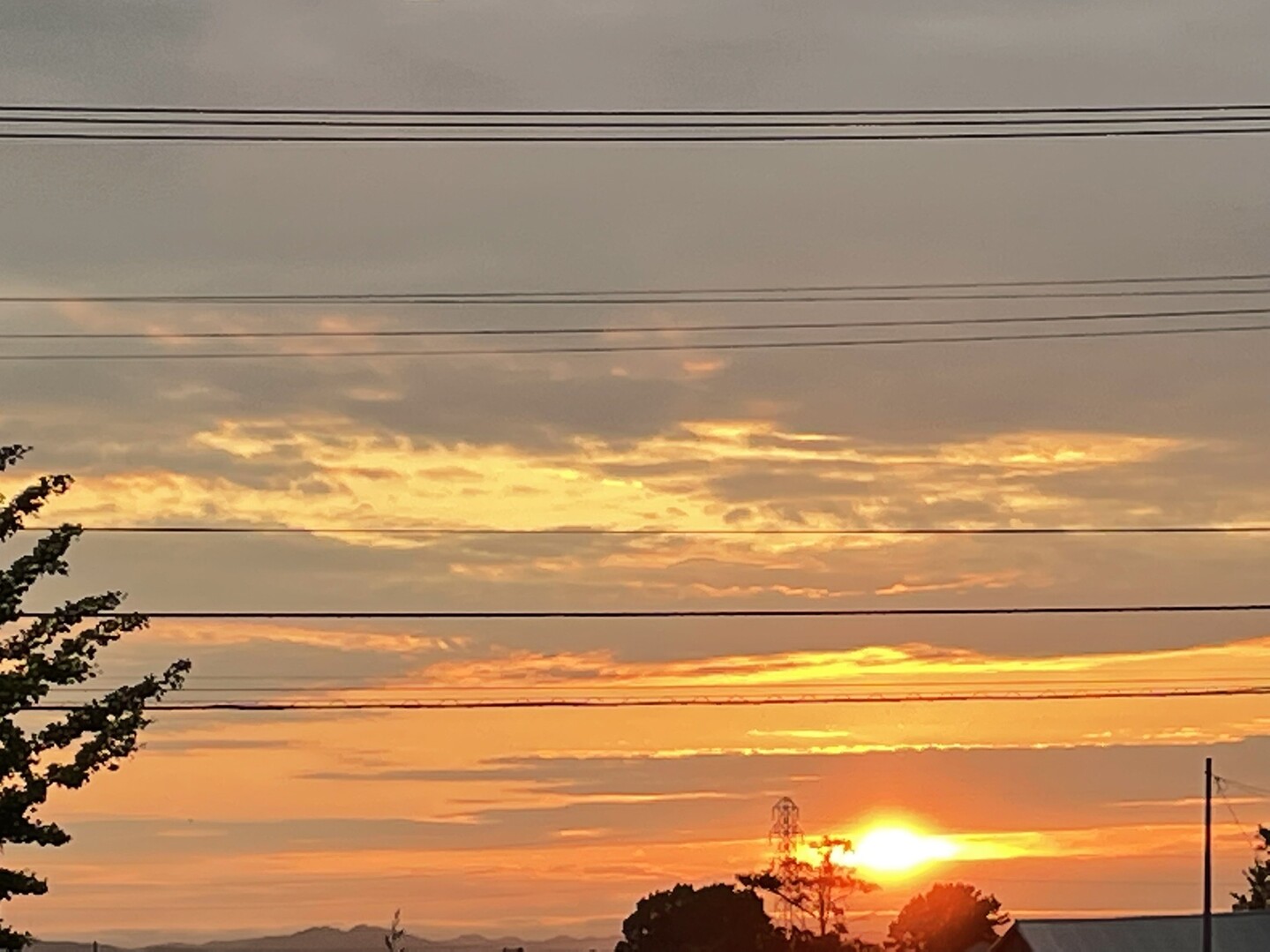 今日は、夏至ですね🌇 夕陽がきれいだっ... / mii500さんのモーメント | YAMAP / ヤマップ