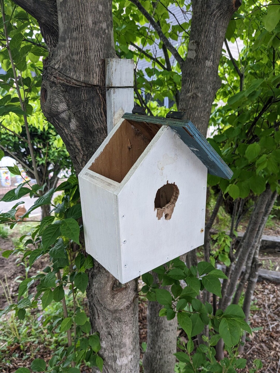 やられた…。 スクスク育っていた7羽のヒ... / PEAKSさんのモーメント | YAMAP / ヤマップ