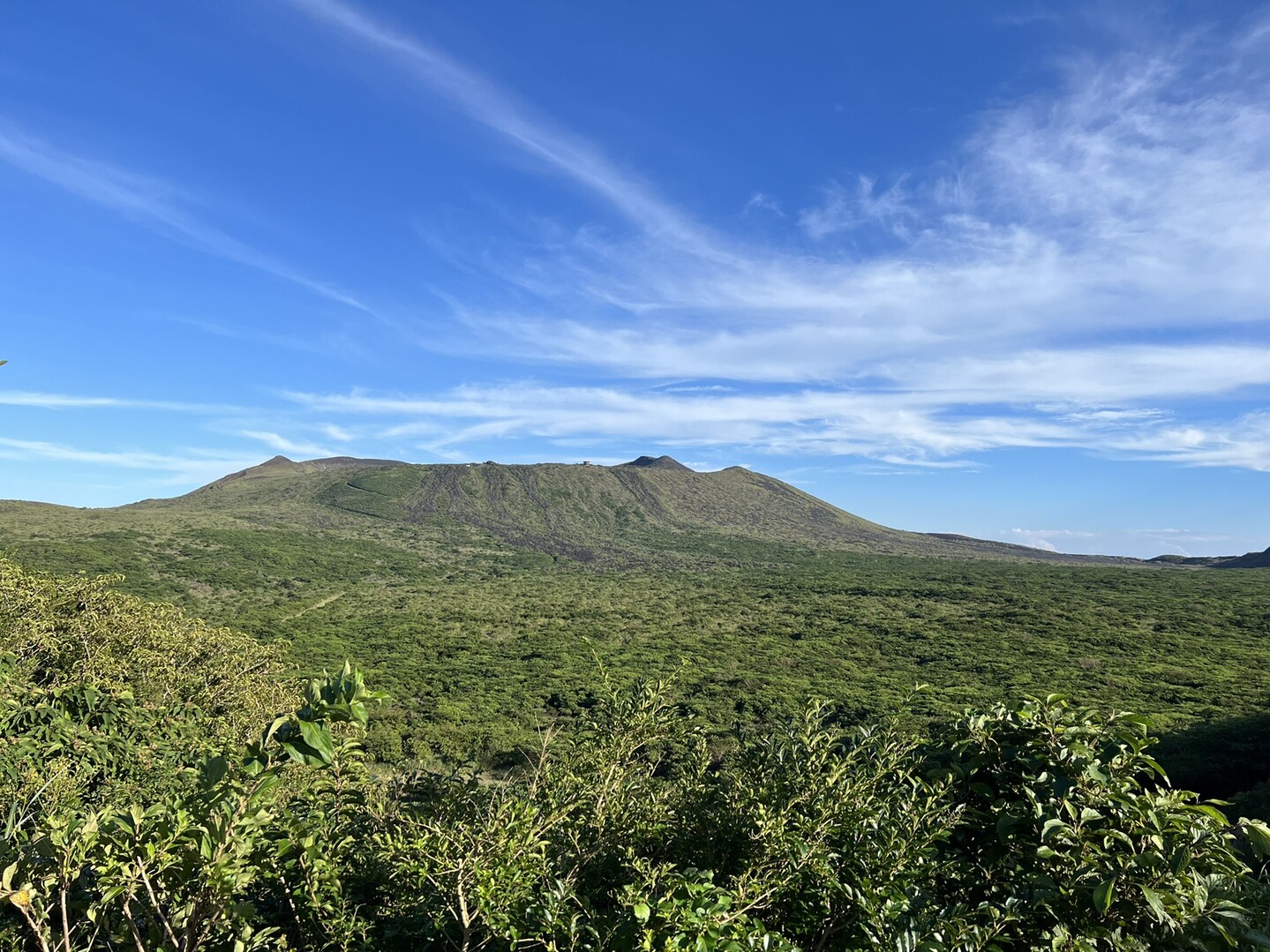 三原山🌋 / tea003さんの伊豆大島・三原山の活動データ | YAMAP / ヤマップ