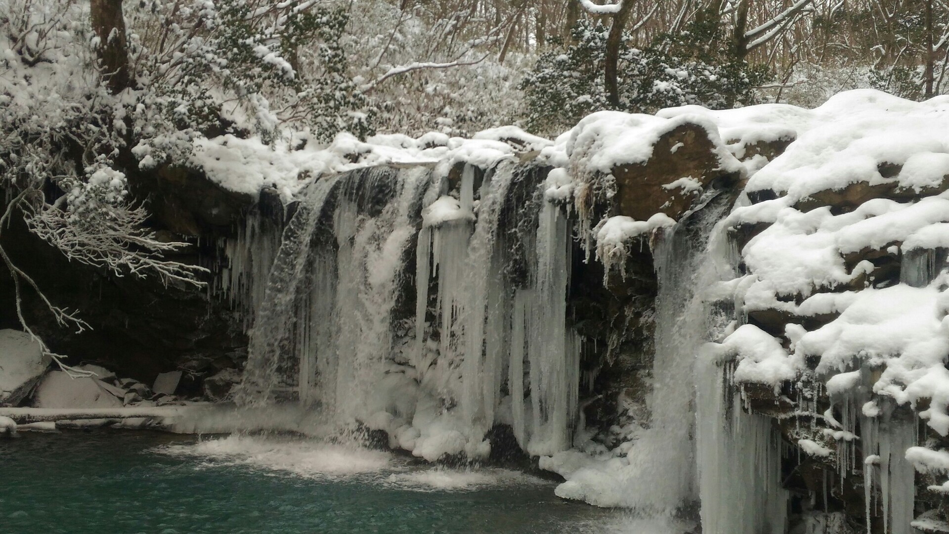 吉部登山口から暮雨の滝見学 / syuntyandesuさんの九重山（久住山）・大船山・星生山の活動データ | YAMAP / ヤマップ
