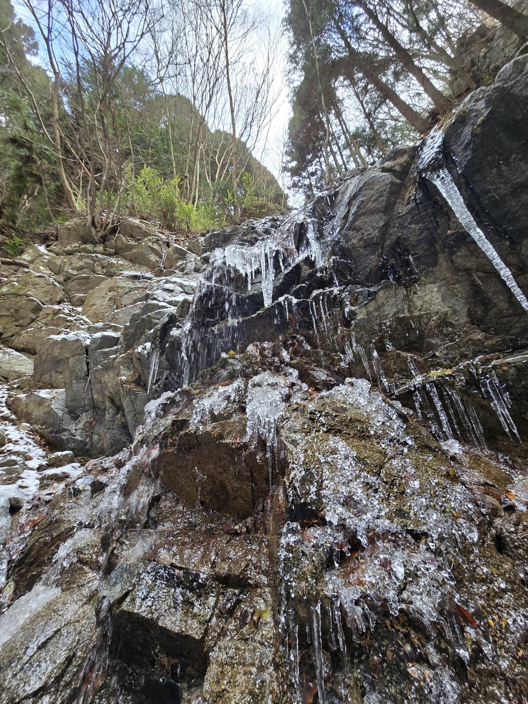 仲良し3人で金剛山・葛木岳 / みゆさんの金剛山・二上山・大和葛城山の活動日記 | YAMAP / ヤマップ