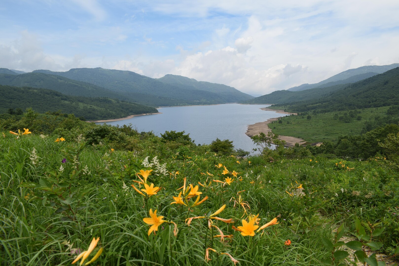 野反湖 2023-07-18 / nm25さんの白砂山・堂岩山・八間山の活動データ | YAMAP / ヤマップ