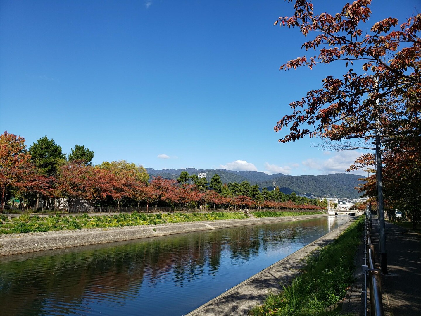 紅葉がいい感じに😄 本日は⛰️休みでワ... / mukoyamano mineさんのモーメント | YAMAP / ヤマップ