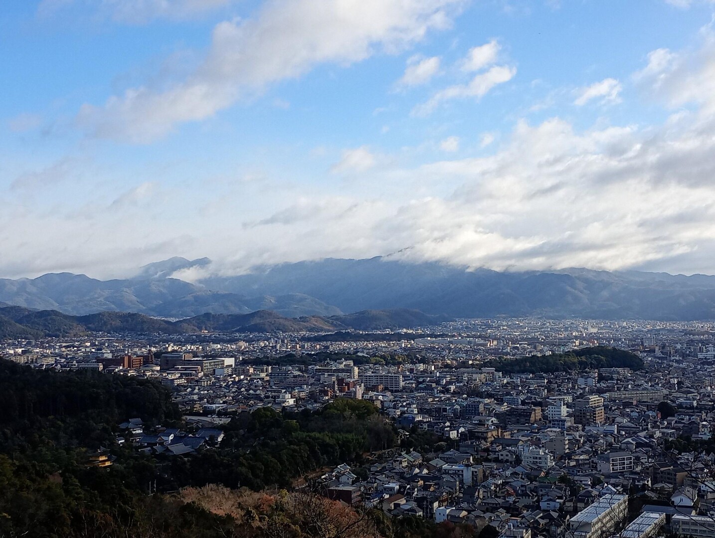 京都北山周辺ピーク巡り / コクさんの京都一周トレイルの活動日記 | YAMAP / ヤマップ