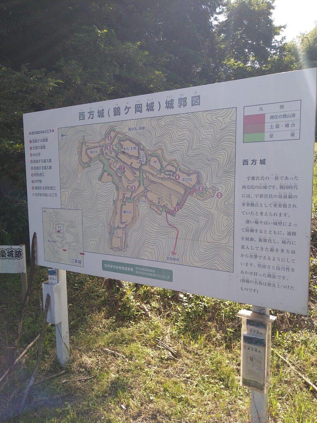 谷倉山-2023-06-17 / moxさんの谷倉山の活動データ | YAMAP / ヤマップ