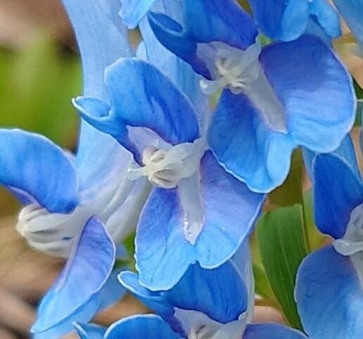 FORGETTIN′ / ミヒルさんのモーメント | YAMAP / ヤマップ