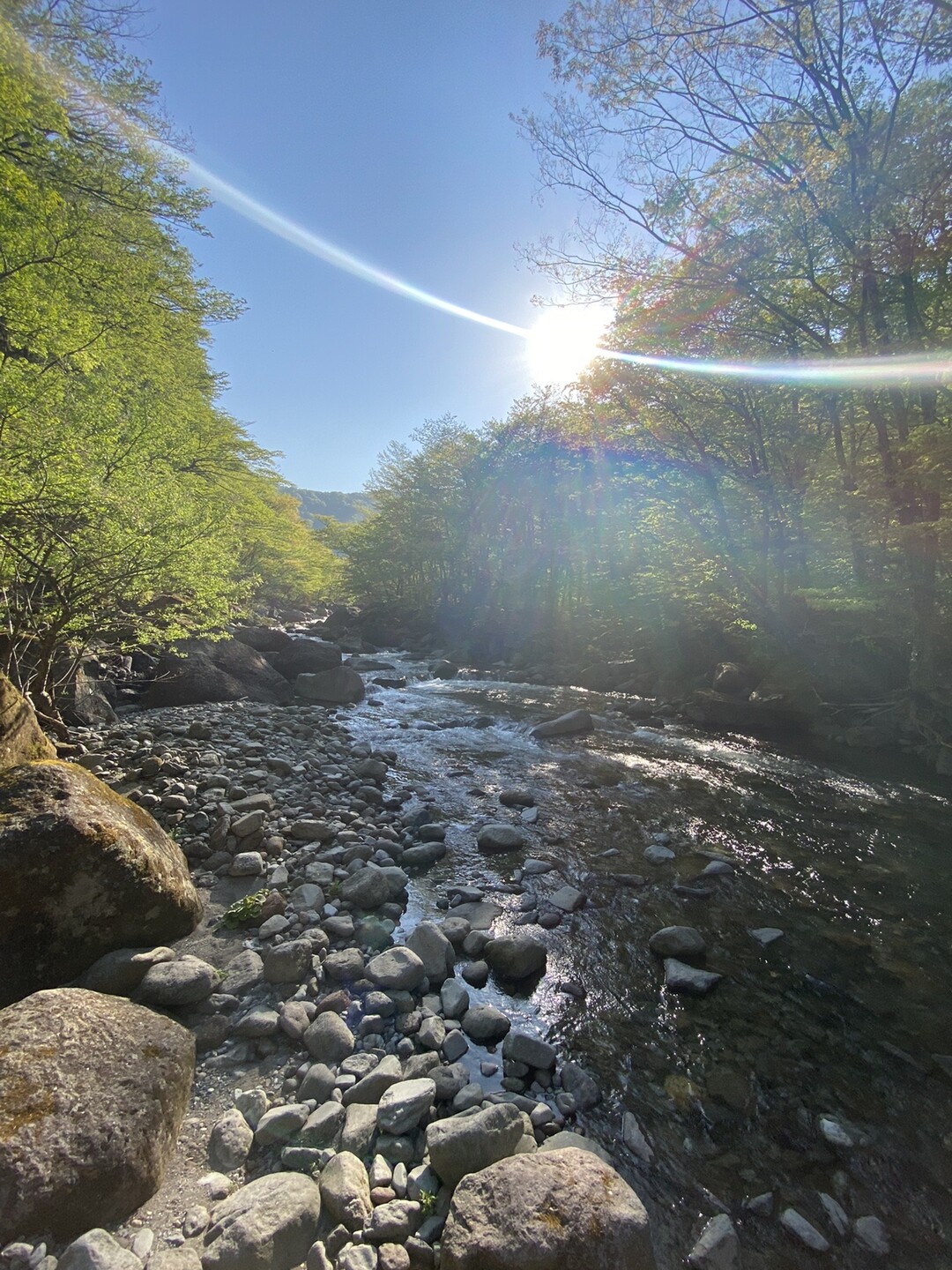 数年ぶりに蔵王、澄川渓谷に。 昔ここから... / junさんのモーメント | YAMAP / ヤマップ