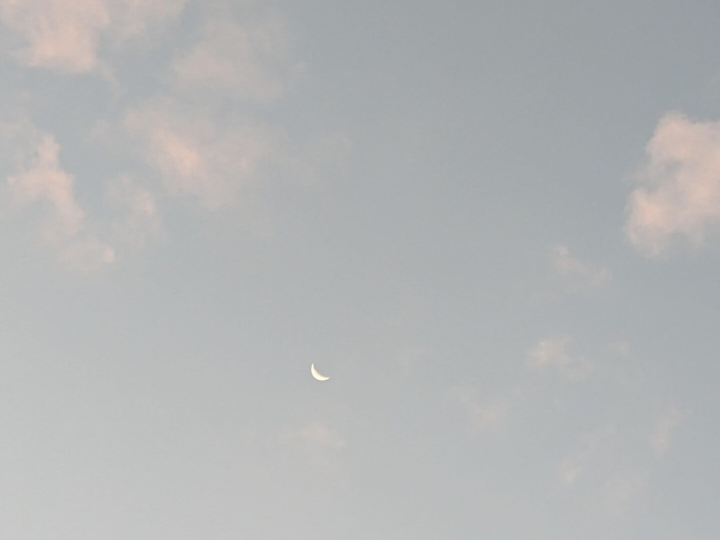 ちいっちゃいお月さま🌜が残り、今朝の空... / kecoさんのモーメント | YAMAP / ヤマップ