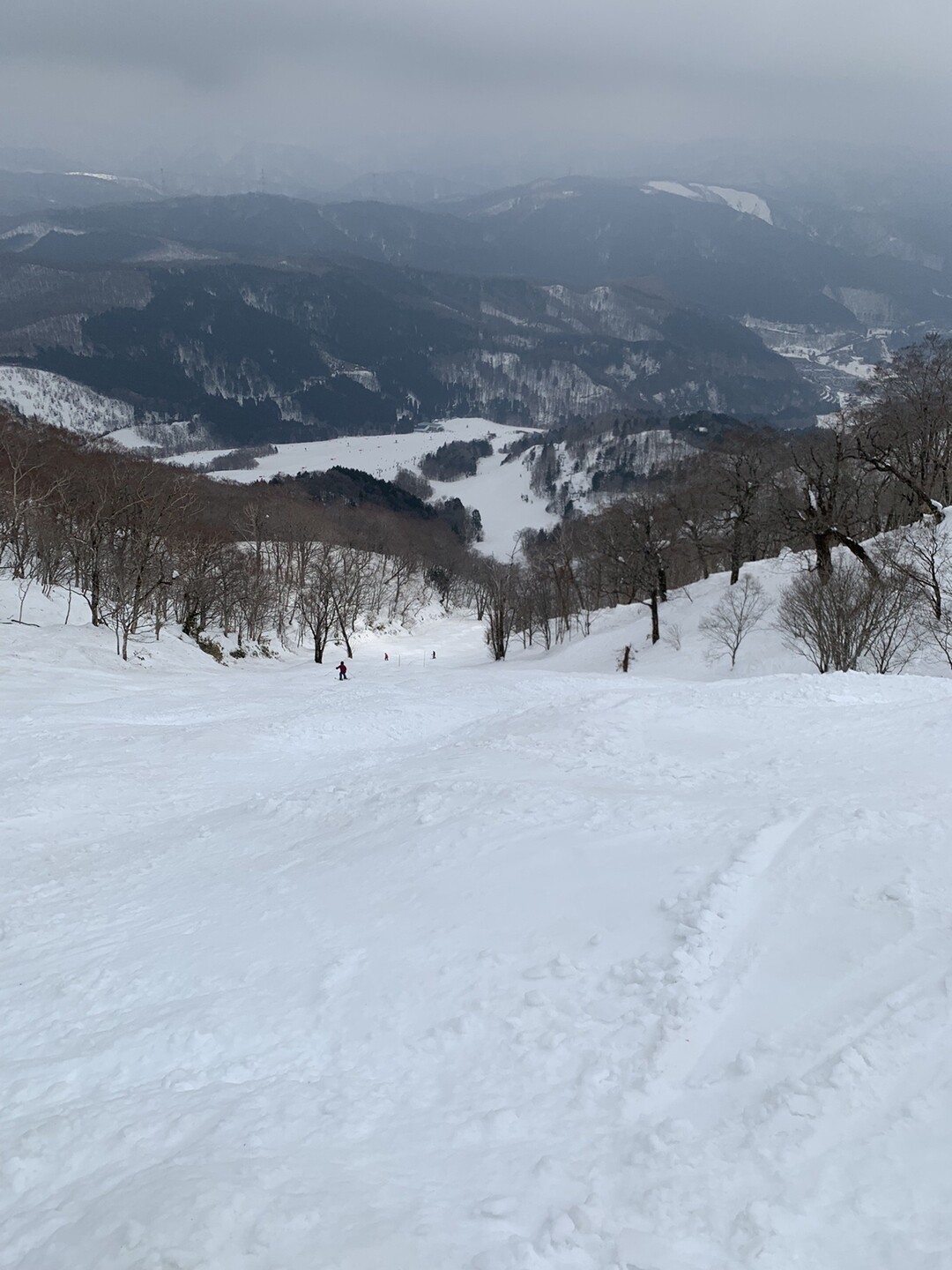 曇り☁️めいほうスキー場-2022-03-13 / neon neoさんのめいほうスキー場の活動データ | YAMAP / ヤマップ