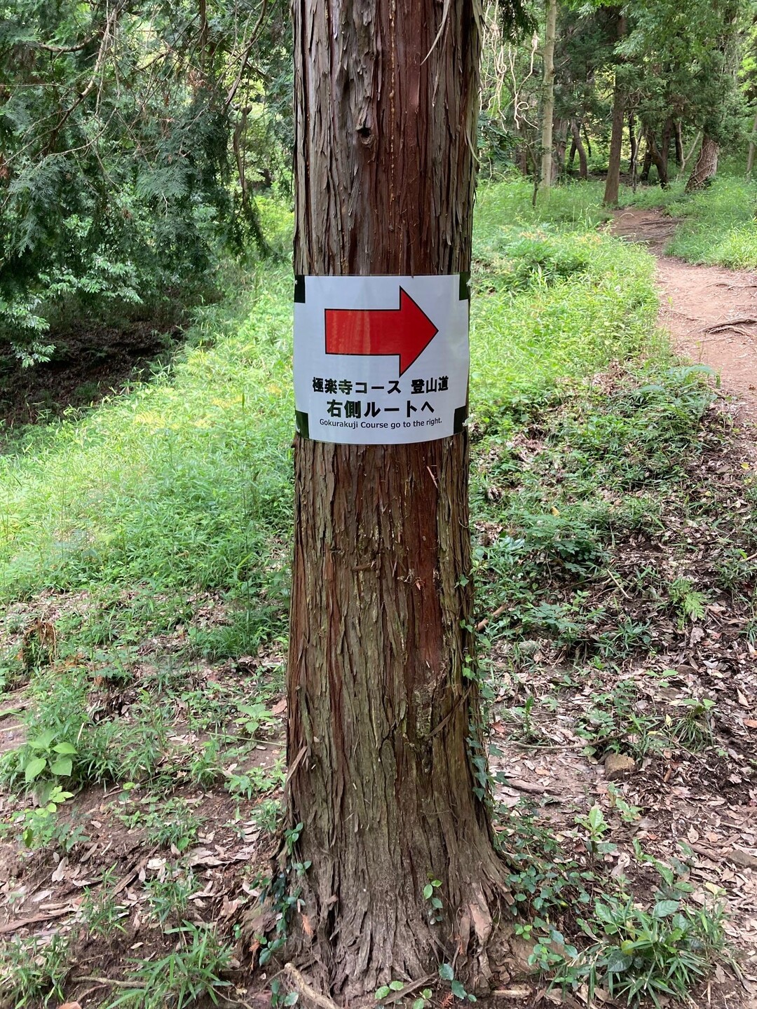 o-daijinさんの投稿したフィールドメモ | YAMAP / ヤマップ