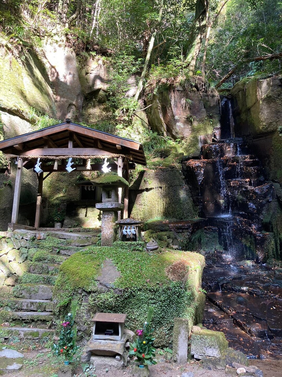 青葉の滝〜茶臼山 / satoAさんの茶臼山の活動データ | YAMAP / ヤマップ