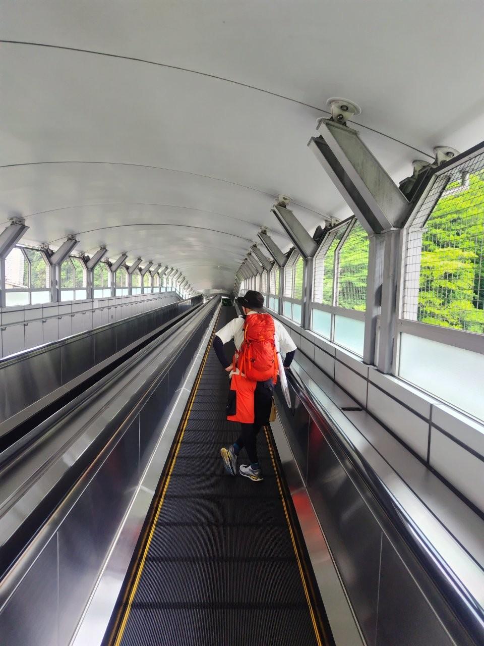 OPEN THE NEW DOOR,AGAIN🚪 / katomicさんの広島南アルプス（武田山・三滝山・鈴ヶ峰）の活動データ | YAMAP / ヤマップ