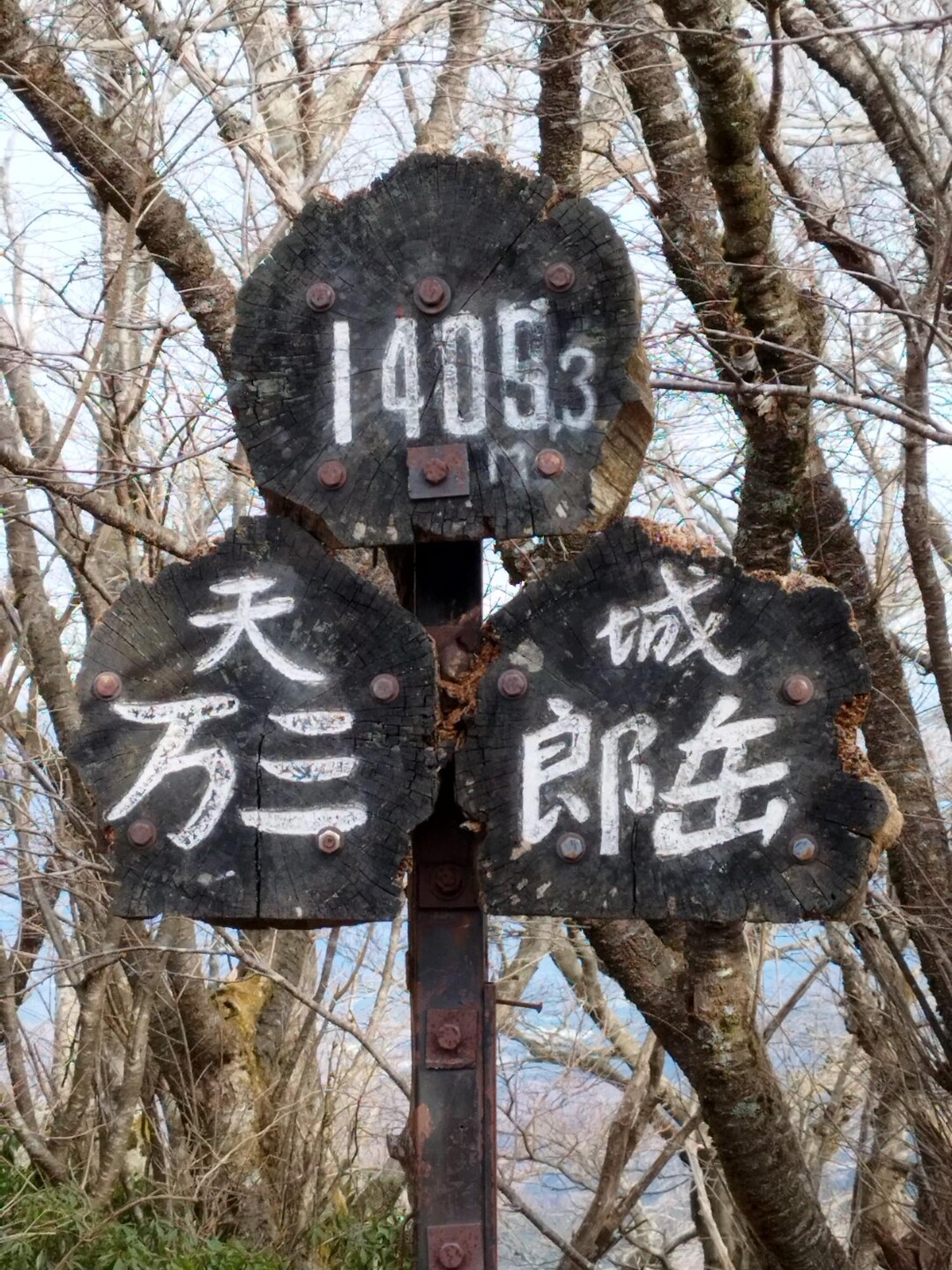 万二郎岳（天城山）・万三郎岳（天城山） / datera🐻🐻🐻さんの天城山・鉢ノ山・三筋山の活動データ | YAMAP / ヤマップ