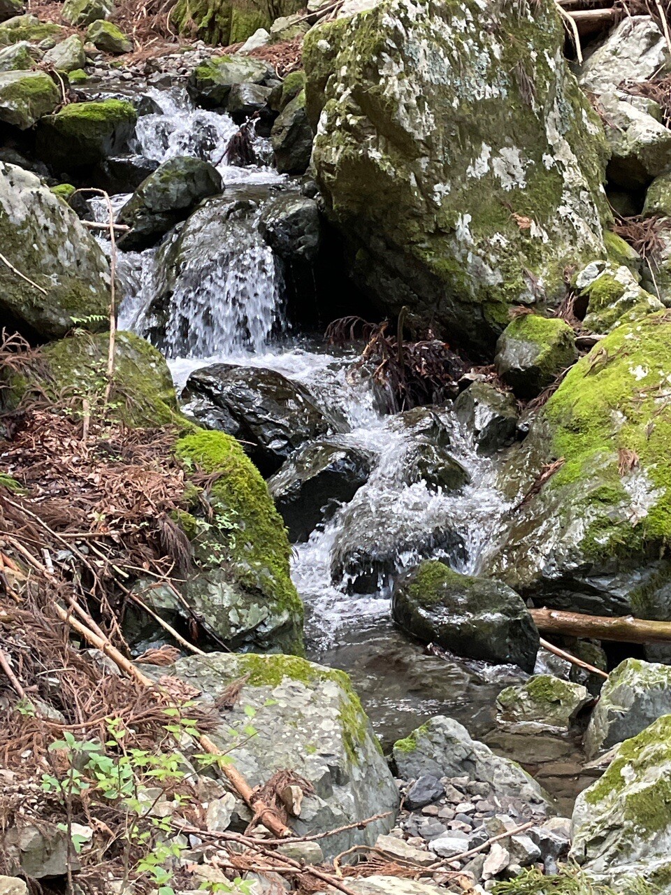 竜頭山 / TKC90さんの竜頭山・入地山の活動データ | YAMAP / ヤマップ