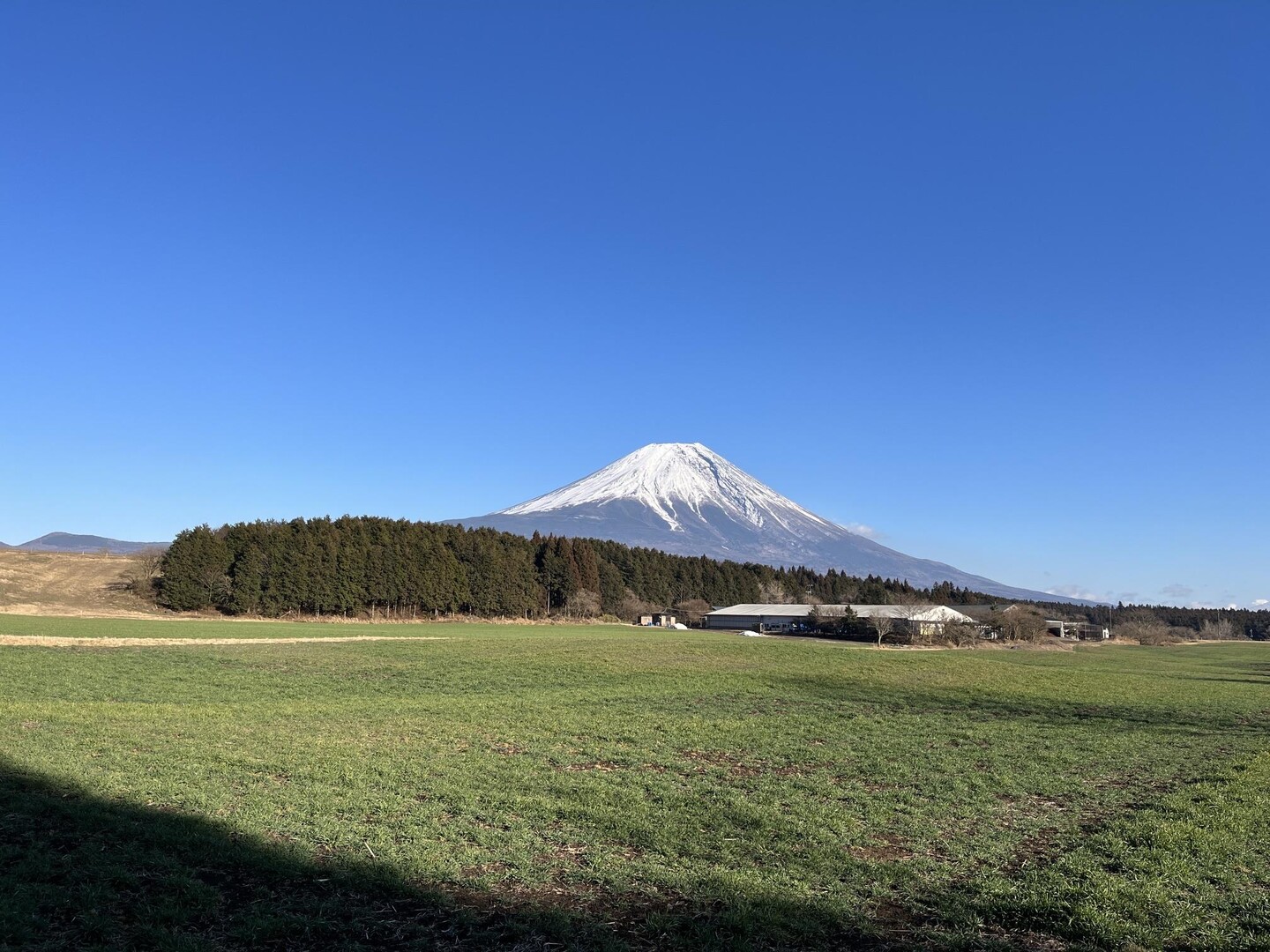 竜ヶ岳・雨ヶ岳・毛無山 / もんじろうさんの毛無山・雨ヶ岳・竜ヶ岳の活動データ | YAMAP / ヤマップ