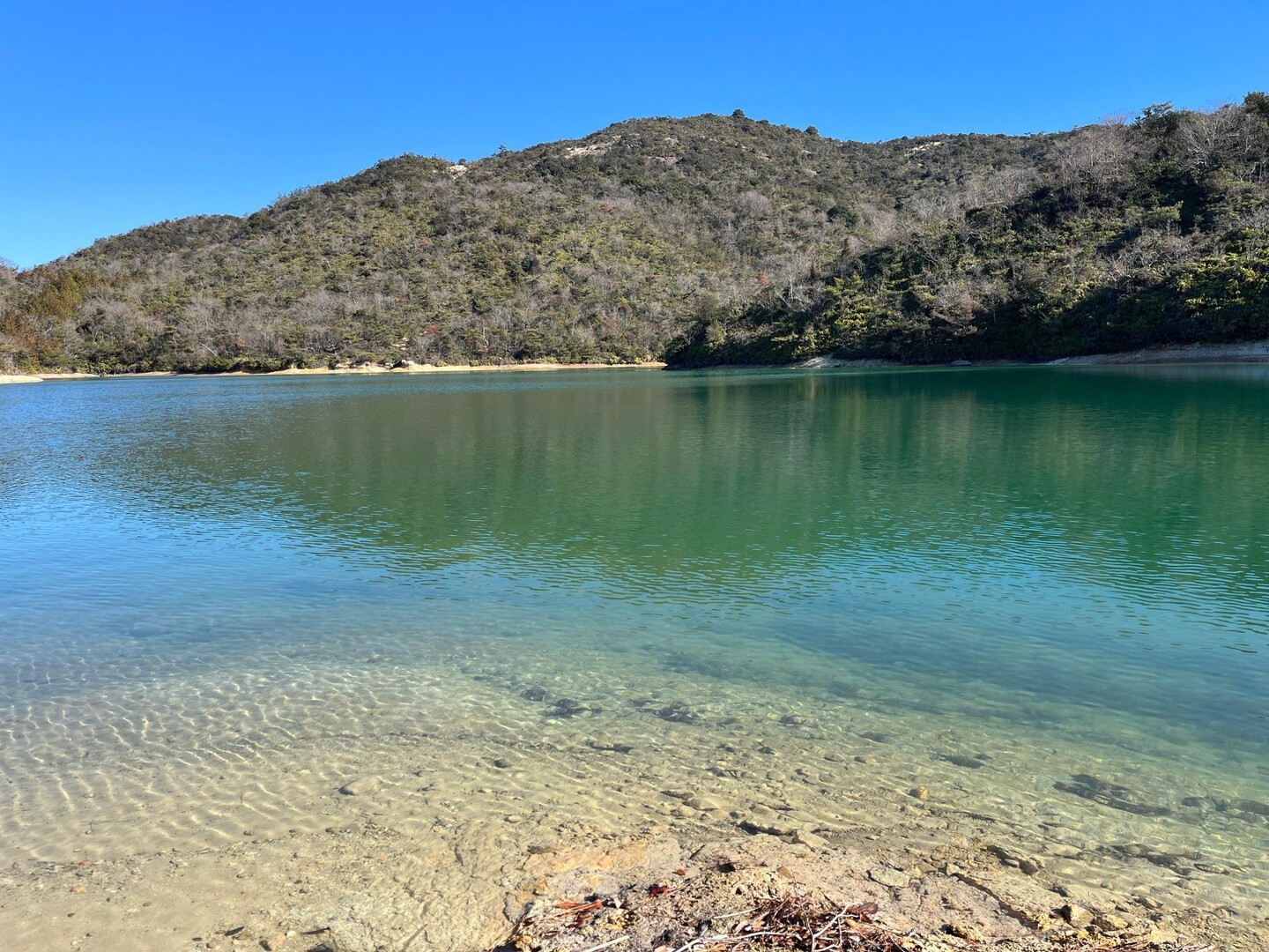 シダシダ😅の小天狗山・天狗山 / yu-kunさんの天狗山の活動データ | YAMAP / ヤマップ