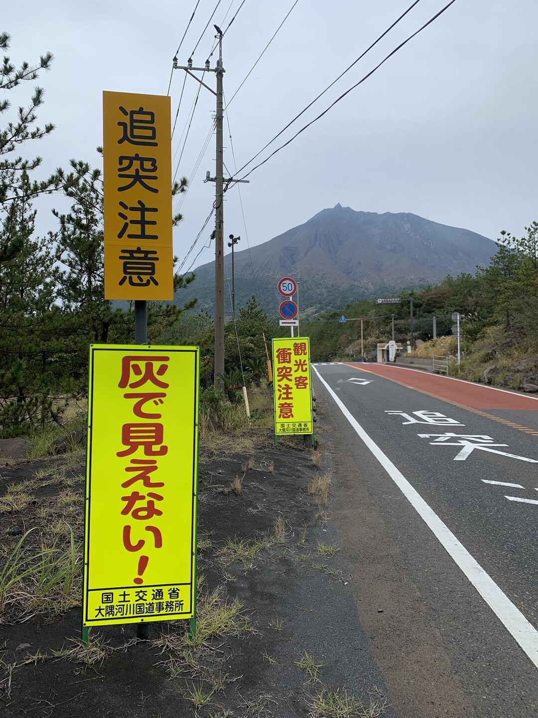 2021.11 桜島一周サイクリング（Runtasticより） / Hal（のぼるたべるあそ部）さんの桜島の活動データ | YAMAP / ヤマップ