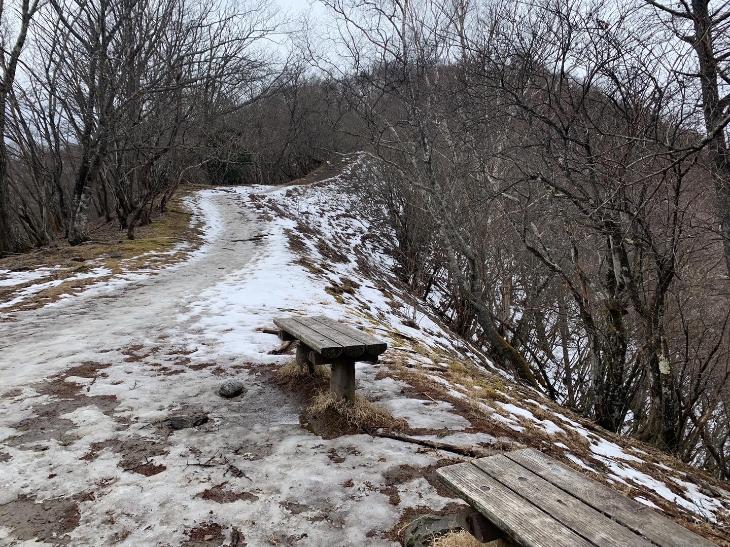 川苔山〜鳩ノ巣 / HT_1さんの川苔山（川乗山）の活動データ | YAMAP / ヤマップ