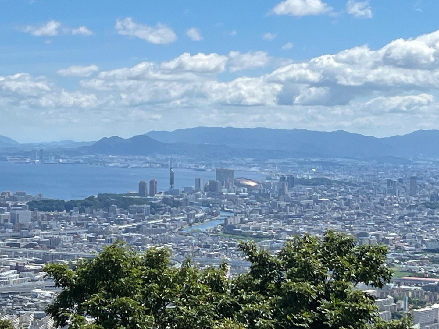 TRAINING de 叶岳周回 / NALUさんの高祖山・飯盛山・叶岳の活動データ | YAMAP / ヤマップ
