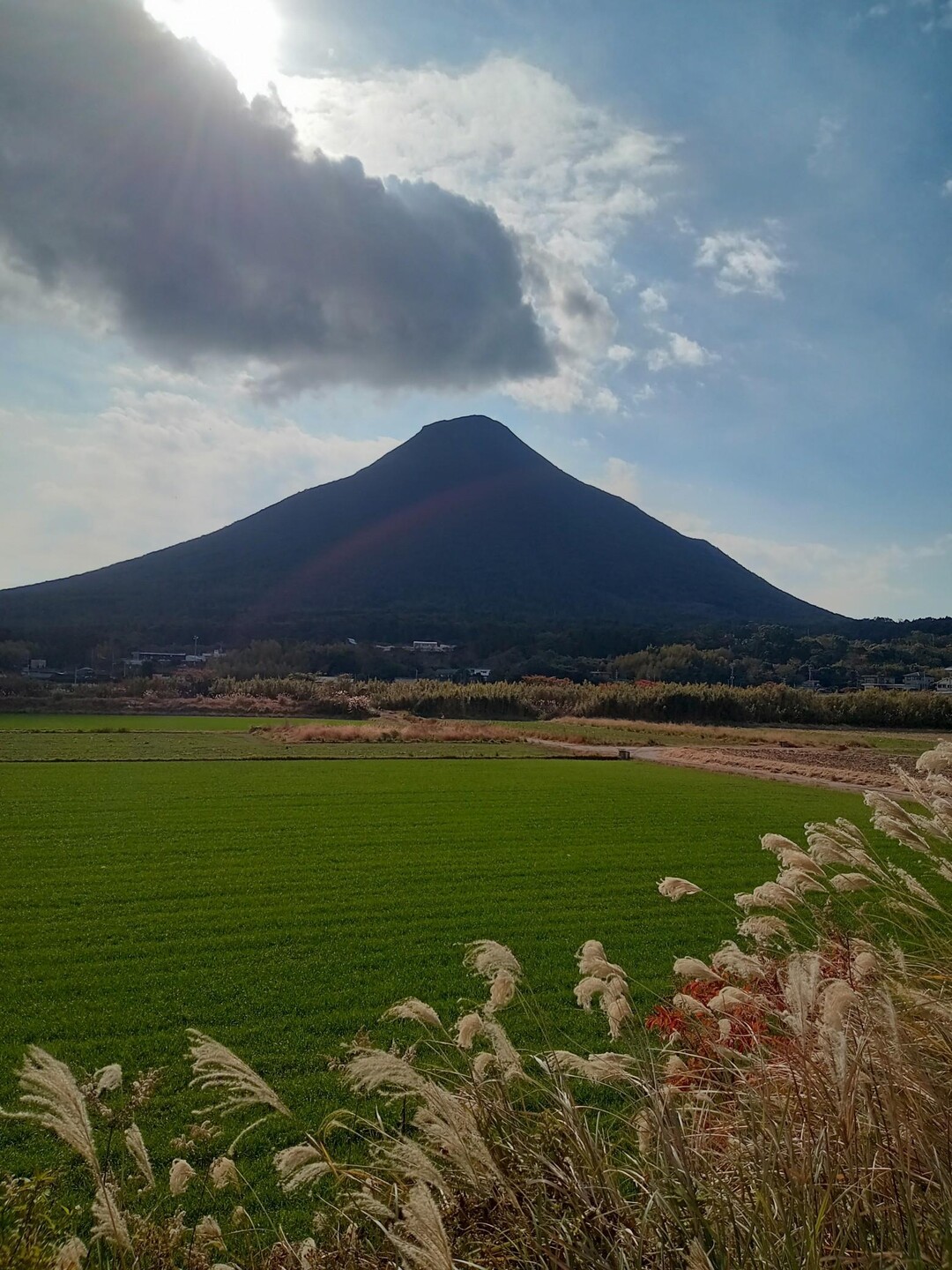 さよなら2024in開聞岳 / さくらさんの開聞岳の活動データ | YAMAP / ヤマップ