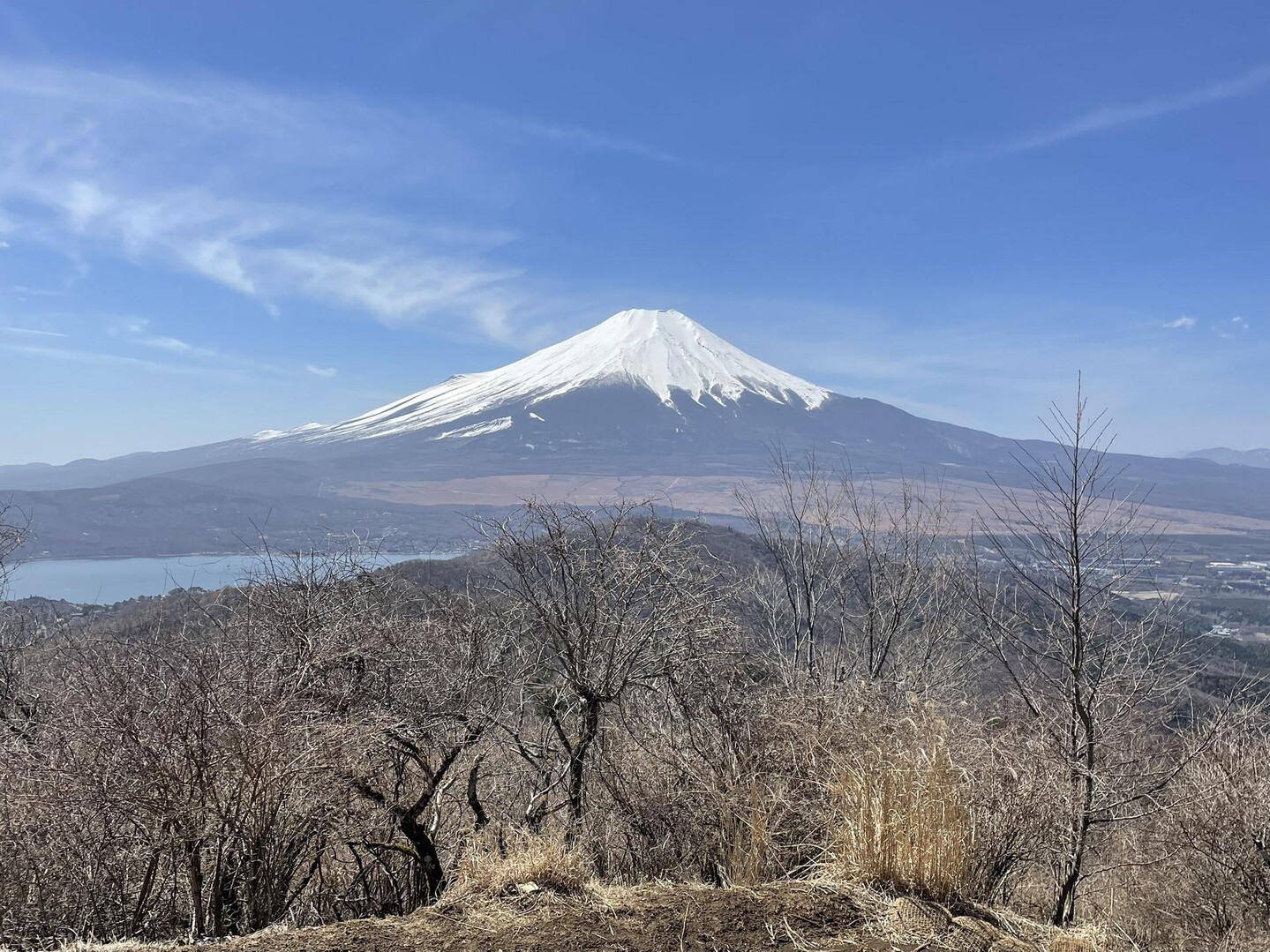 石割山 / PRO(むーさん)さんの御正体山・杓子山・石割山の活動データ | YAMAP / ヤマップ