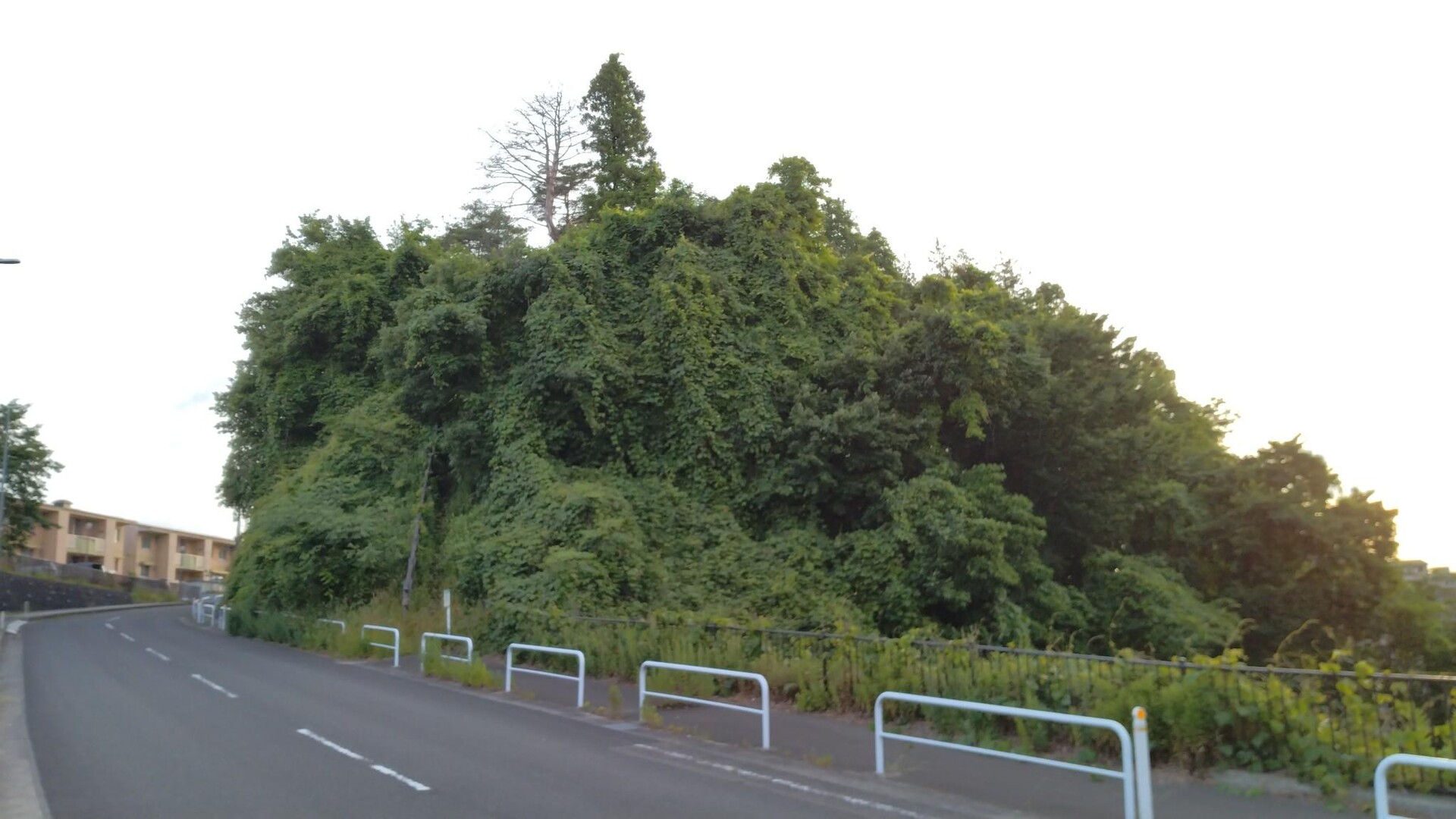 3.肩掛山 / type52さんの水の森の活動データ | YAMAP / ヤマップ