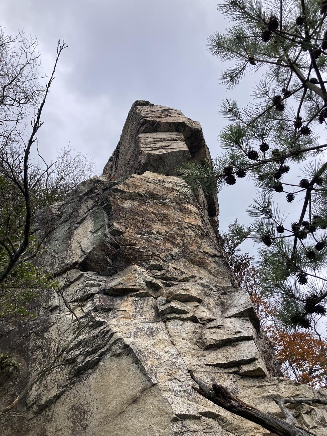 急遽予定変更で今日も小田山へ！23.70 / カブさん(CUB主)さんの小田山の活動データ | YAMAP / ヤマップ