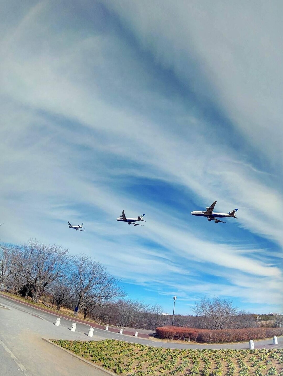 My Dream is to be a pilot!!🛫 / ケン🤓&ラム🐕ちゃん さんのウォーキングの活動データ | YAMAP / ヤマップ