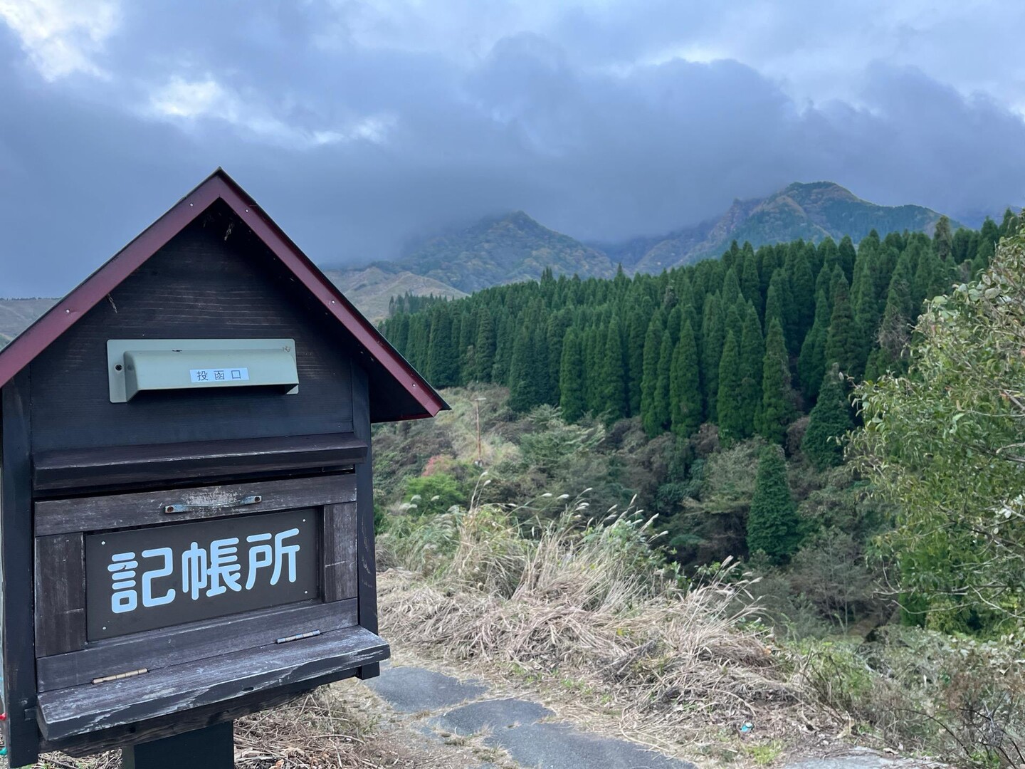 真っ白けの☁️根子岳東峰 / レイさんの阿蘇山・高岳・根子岳の活動データ | YAMAP / ヤマップ
