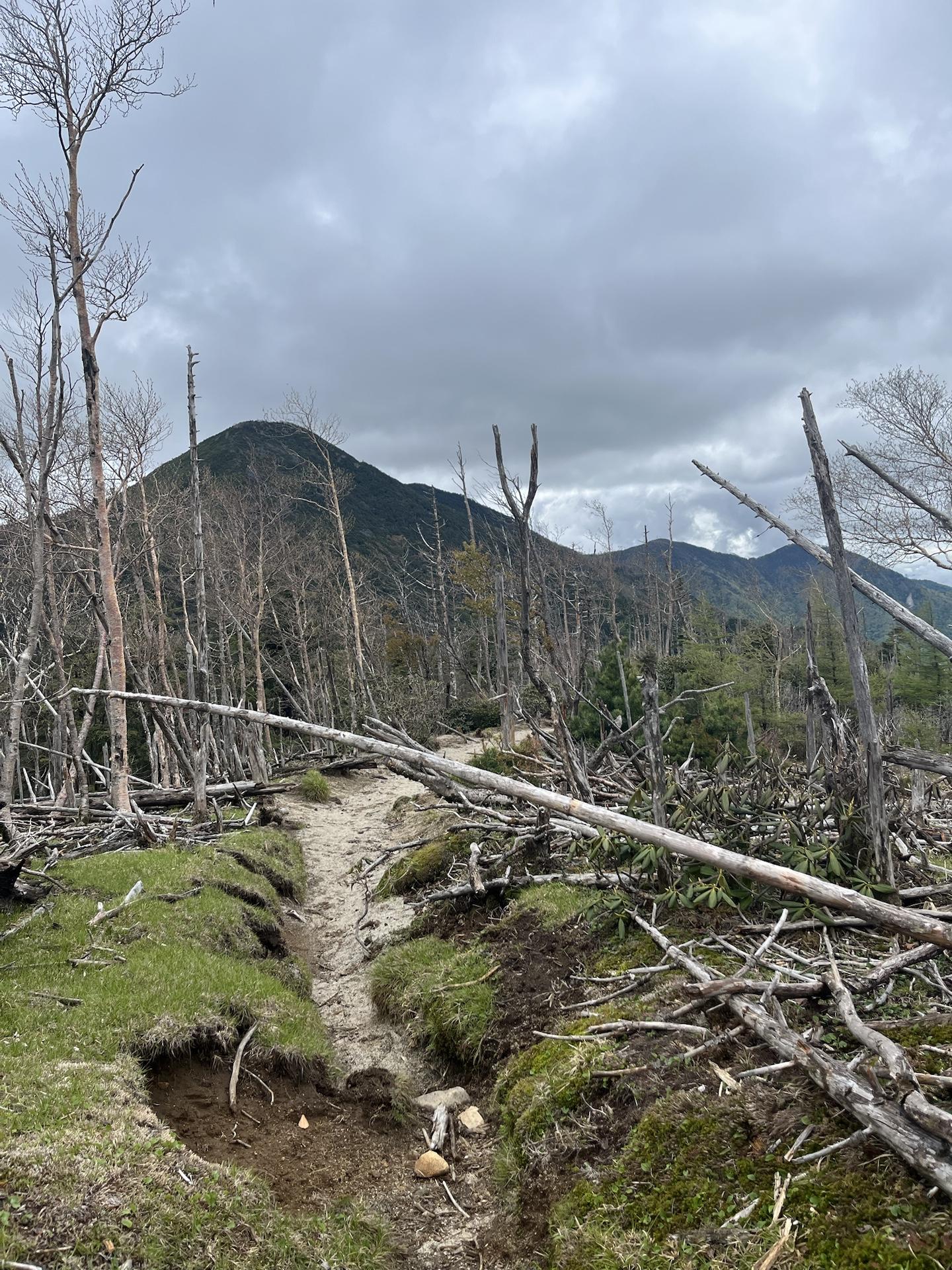木賊山・甲武信ヶ岳・破風山・東破風山・雁坂嶺 / T.sunadaさんの甲武信ヶ岳の活動データ | YAMAP / ヤマップ