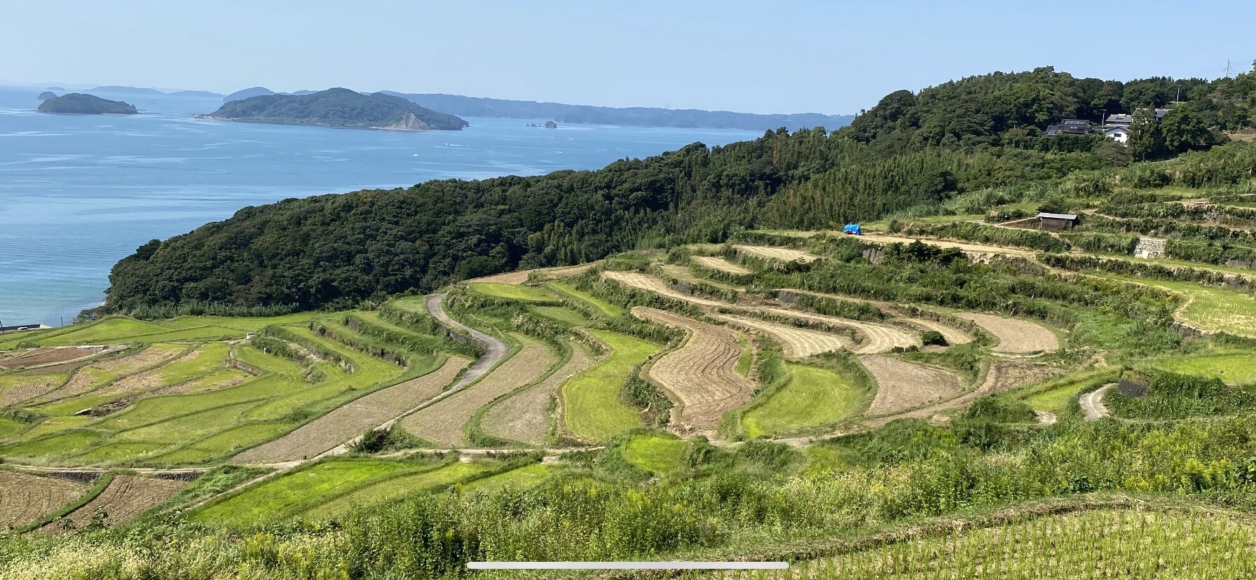 長崎県福島の土谷棚田。 稲穂は刈り取りを... / rebiさんのモーメント | YAMAP / ヤマップ