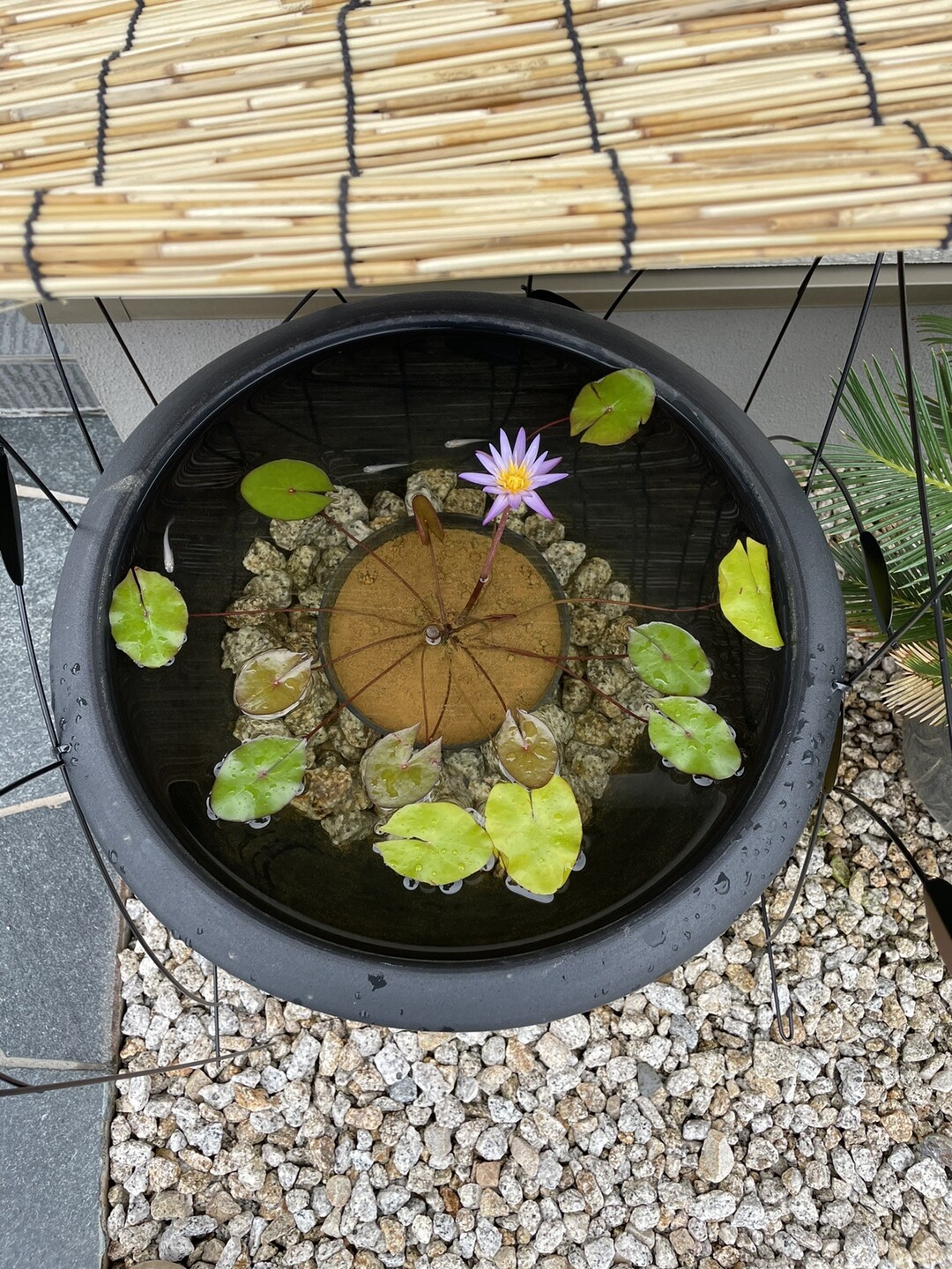 2022.07.17(日) 21:33 / 宮っちさんのモーメント | YAMAP / ヤマップ