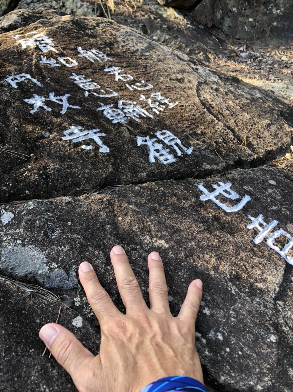 書写山（東坂〜東坂）pm 走れ！！！…俺 / オバオバ（OBAOBA）さんの書写山・伊勢山・とんがり山の活動データ | YAMAP / ヤマップ