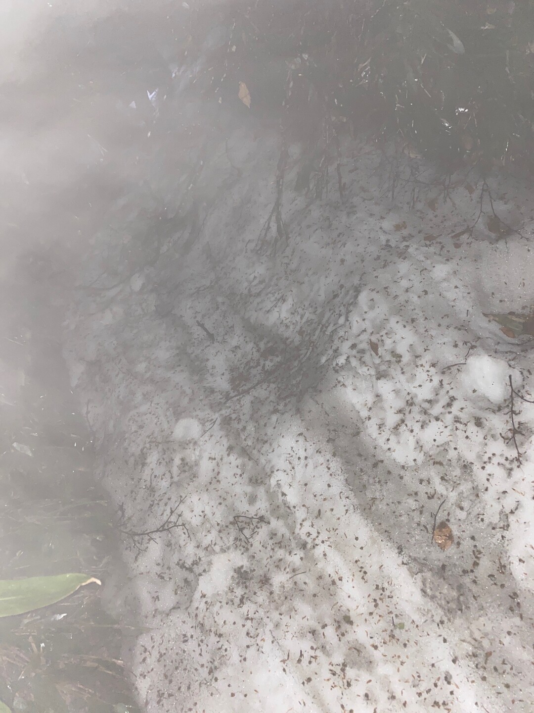 taguchi yasutakaさんの投稿したフィールドメモ | YAMAP / ヤマップ