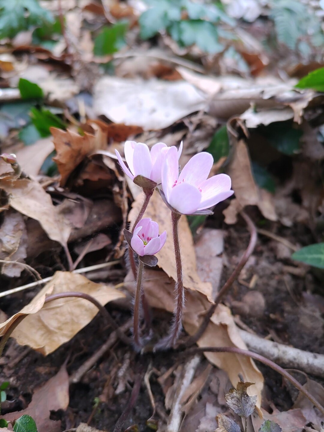 予定が相手の都合でキャンセルなった😭 ... / ゆかさんのモーメント | YAMAP / ヤマップ